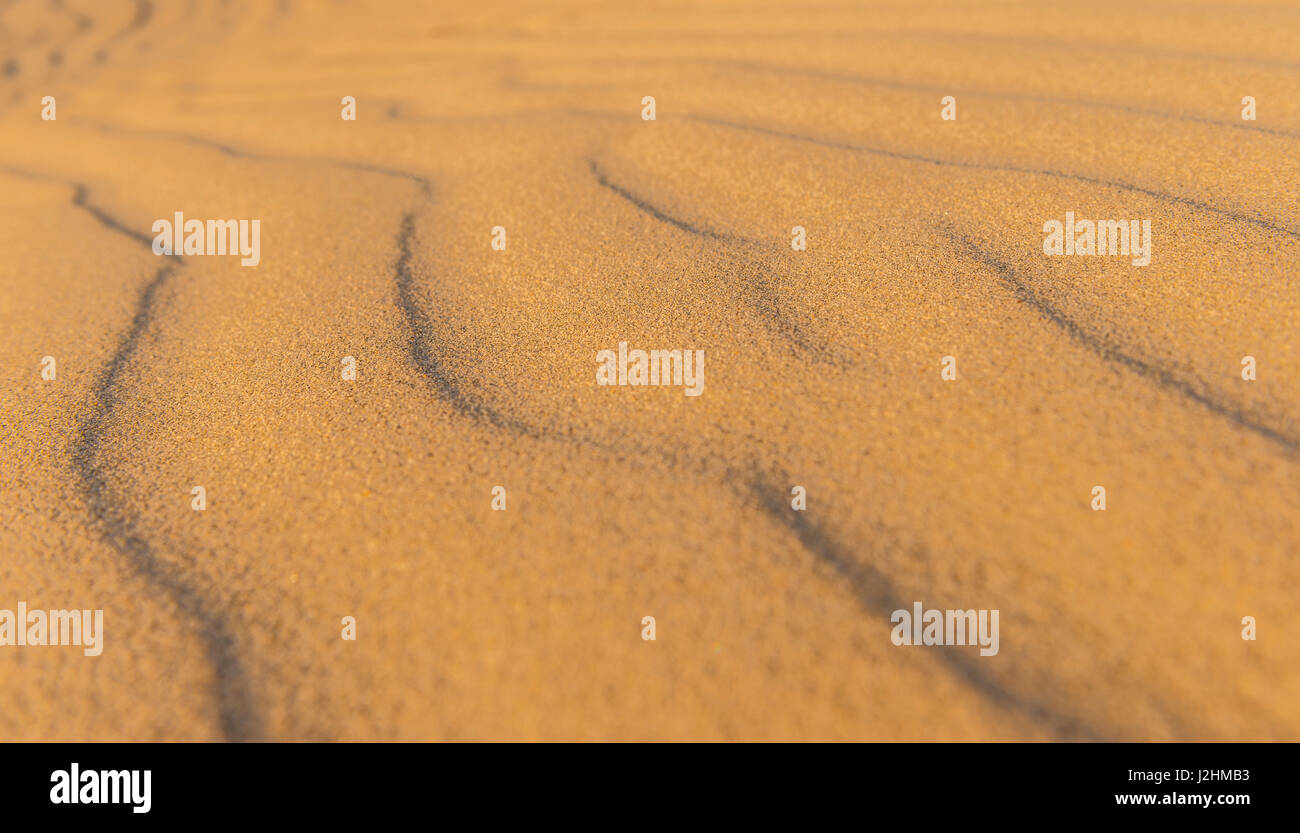 Wave pattern in sand dune, Sandfly Bay, Dunedin, Otago Region, Otago ...