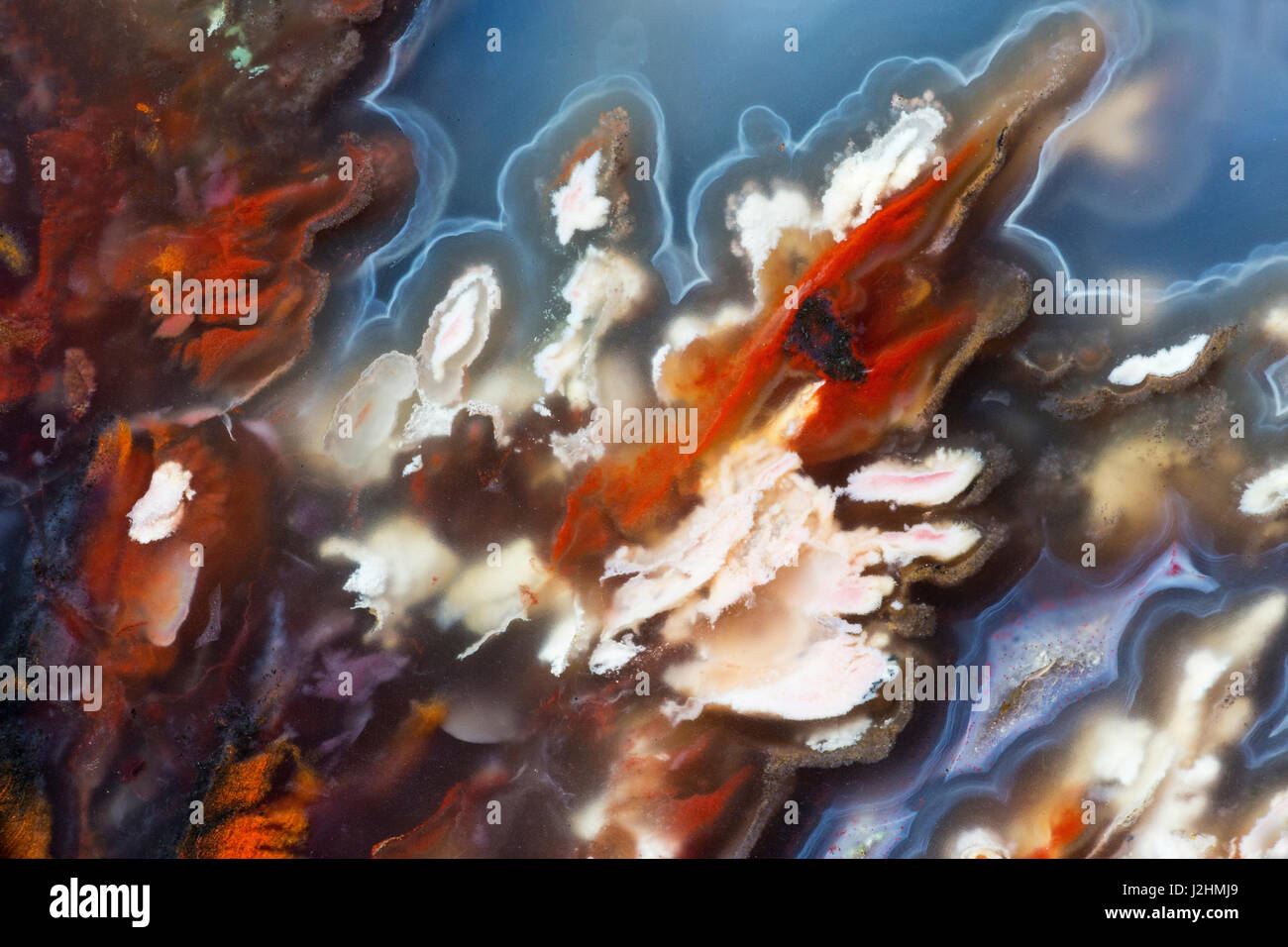 Plume Agate, Sammamish, Washington State Stock Photo - Alamy