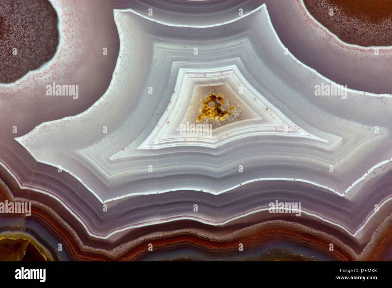 Banded Mexican Agate, Sammamish, Washington State Stock Photo - Alamy