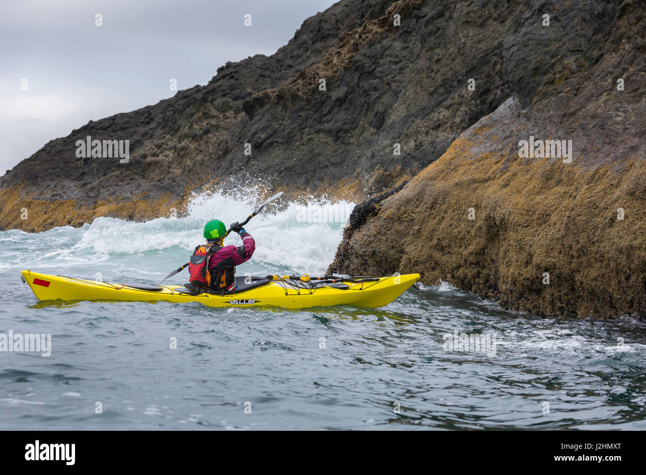 USA, Washington State. Woman sea kayaker plays near crashing wave on an ...