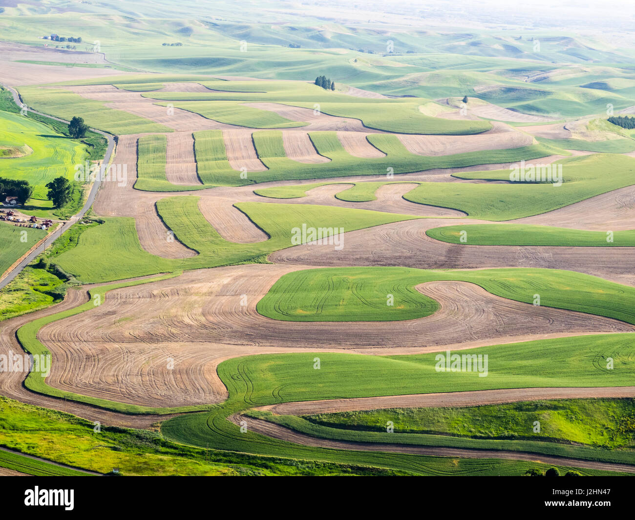 USA, Washington State, Palouse, Whitman County. Aerial of Palouse ...
