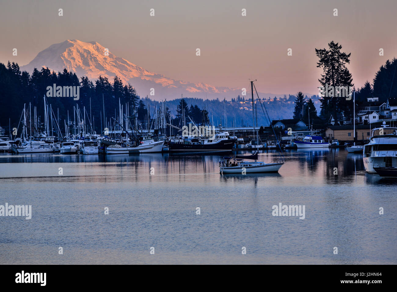 Gig Harbor, Washington State. Sunset on Mount Rainier as a sailboat ...