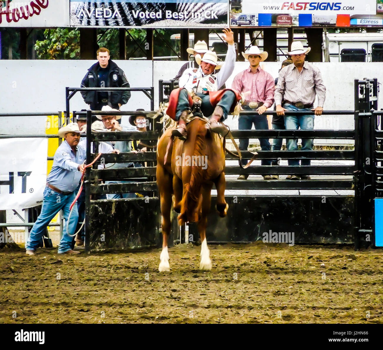 Kitsap county fair hi-res stock photography and images - Alamy