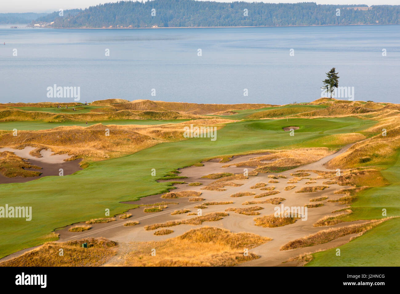 WA, Pierce County, Chambers Bay Golf Course, links style course Stock ...