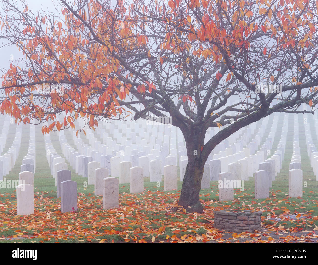 WA, Seattle, Veterans' Memorial Cemetery, at Washelli-Evergreen (Large ...