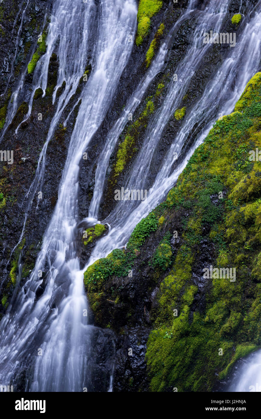 USA, Washington State, Gifford Pinchot National Forest. Detail of water ...