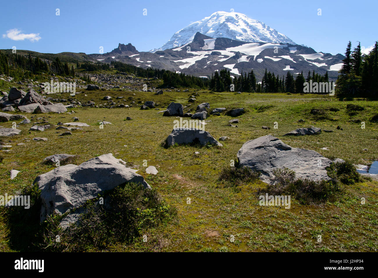Mount Rainier National Park, WA. Spray Park. (Large format sizes ...