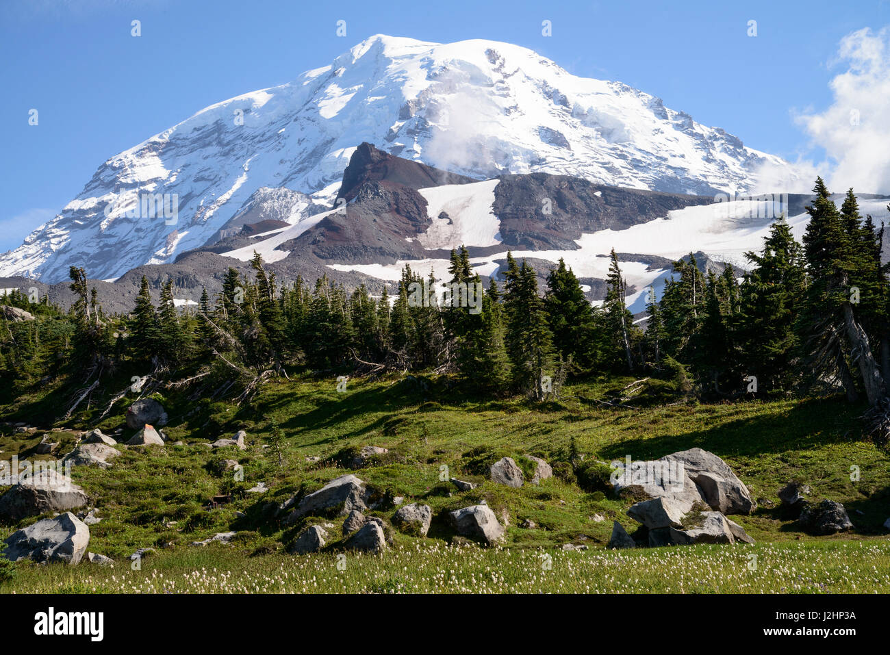 Mount Rainier National Park, WA. Spray Park. (Large format sizes ...