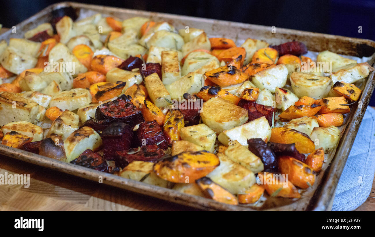 Roasted root vegetables in tray. (Large format sizes available Stock ...