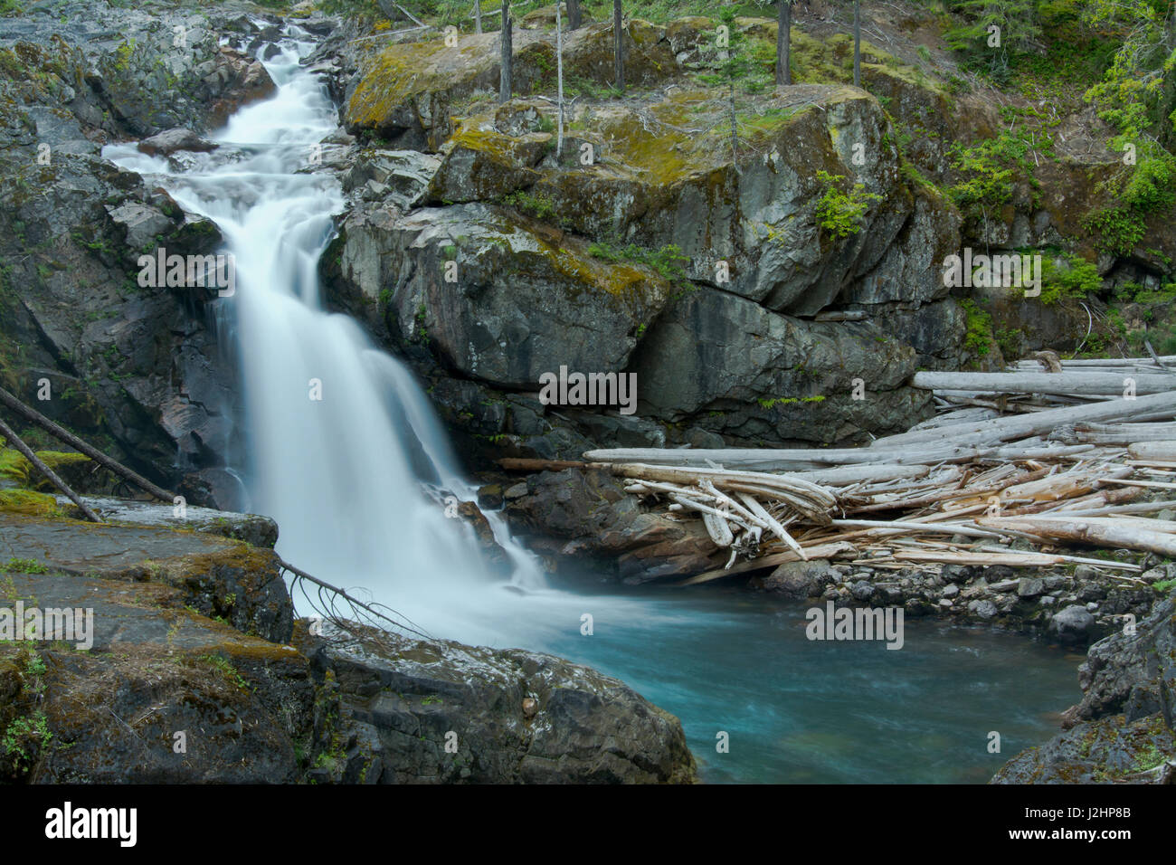 Silver Falls, Mount Rainier National Park, Washington, USA Stock Photo ...