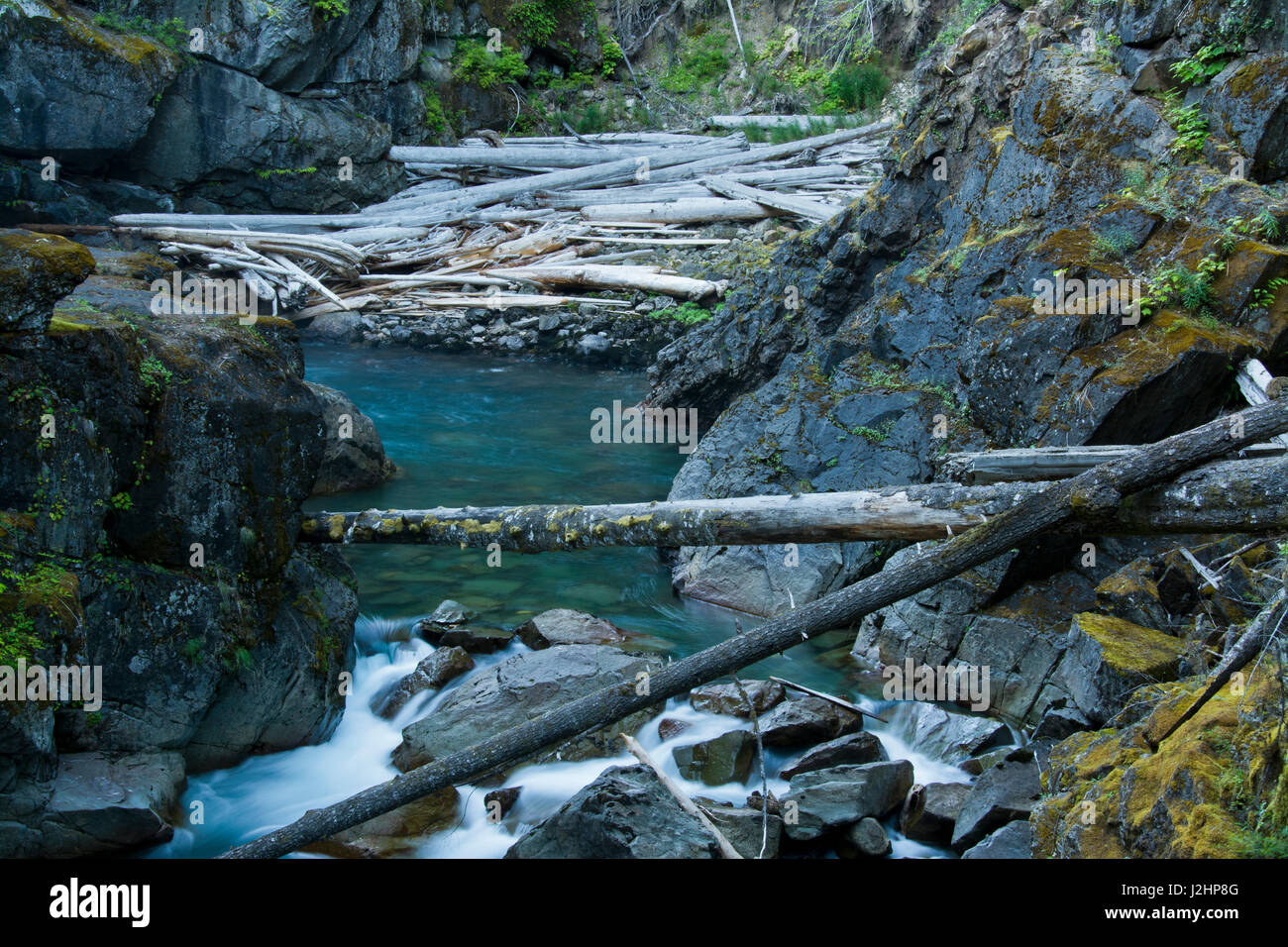 Detail, Close-up, Silver Falls, Mount Rainier National Park, Washington ...