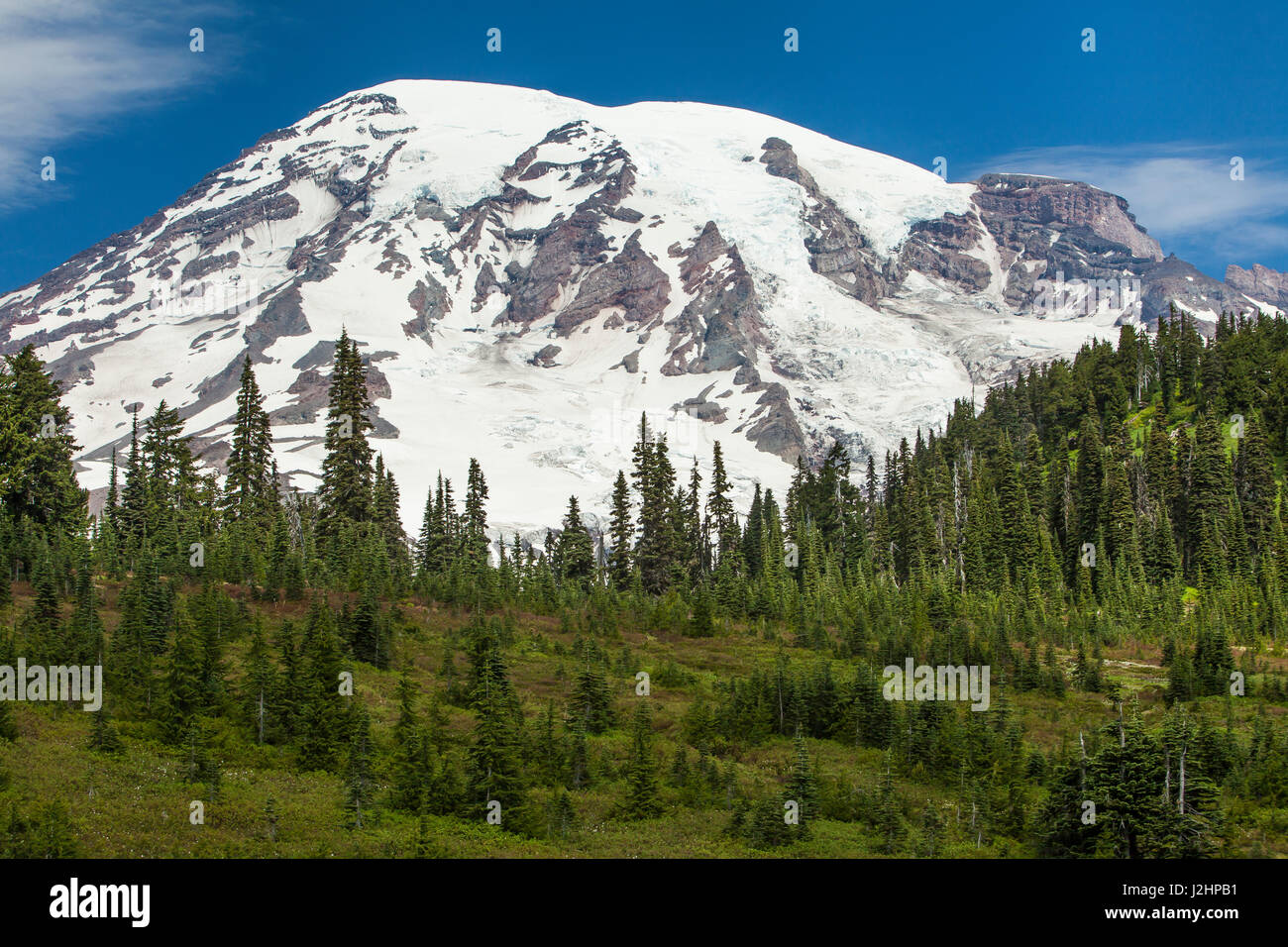 Mt Rainer and Forested Moraines as seen from Paradise Meadows, Mt ...