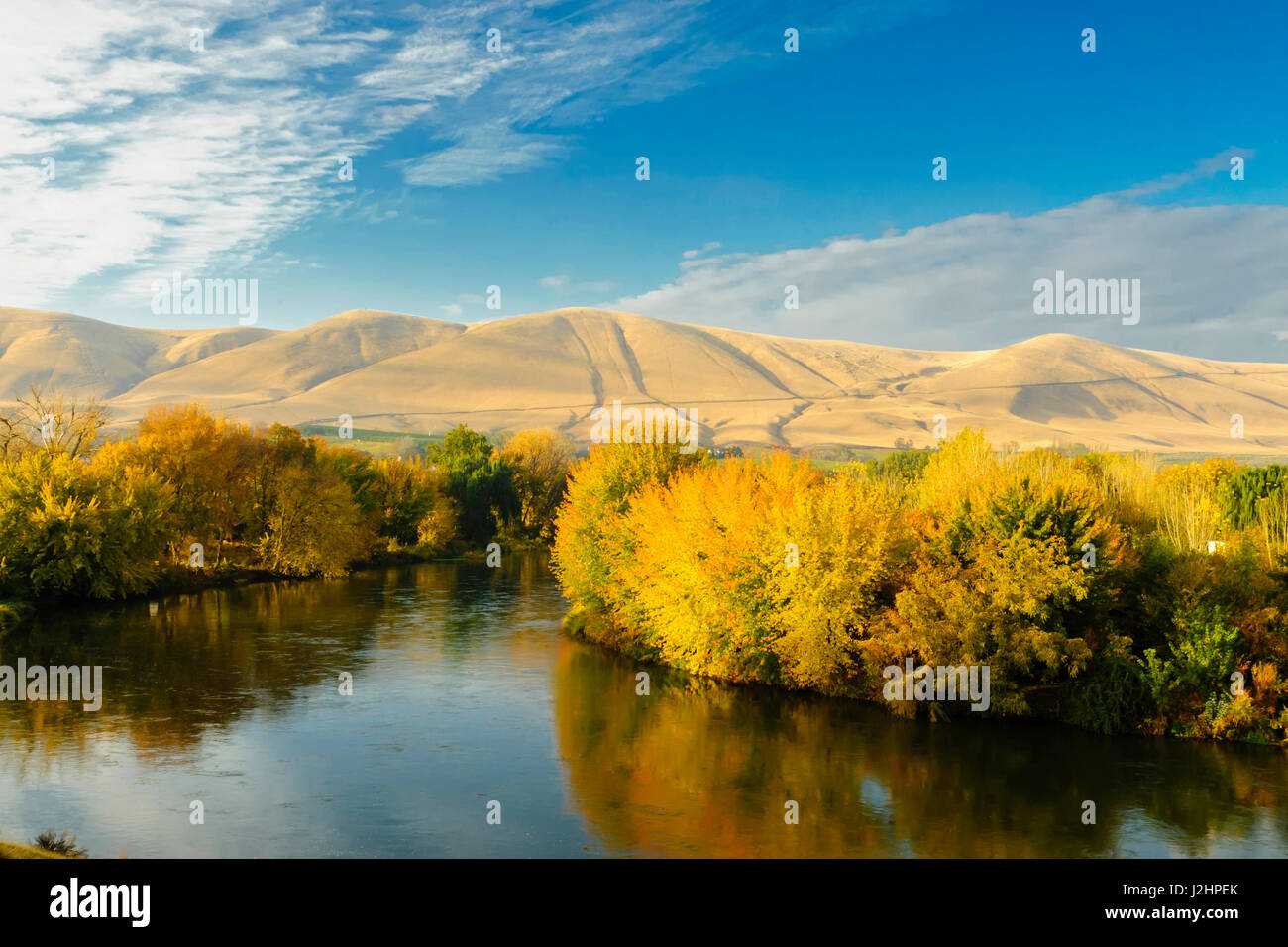 USA, Washington, Benton City. Autumn color lights the trees along the ...