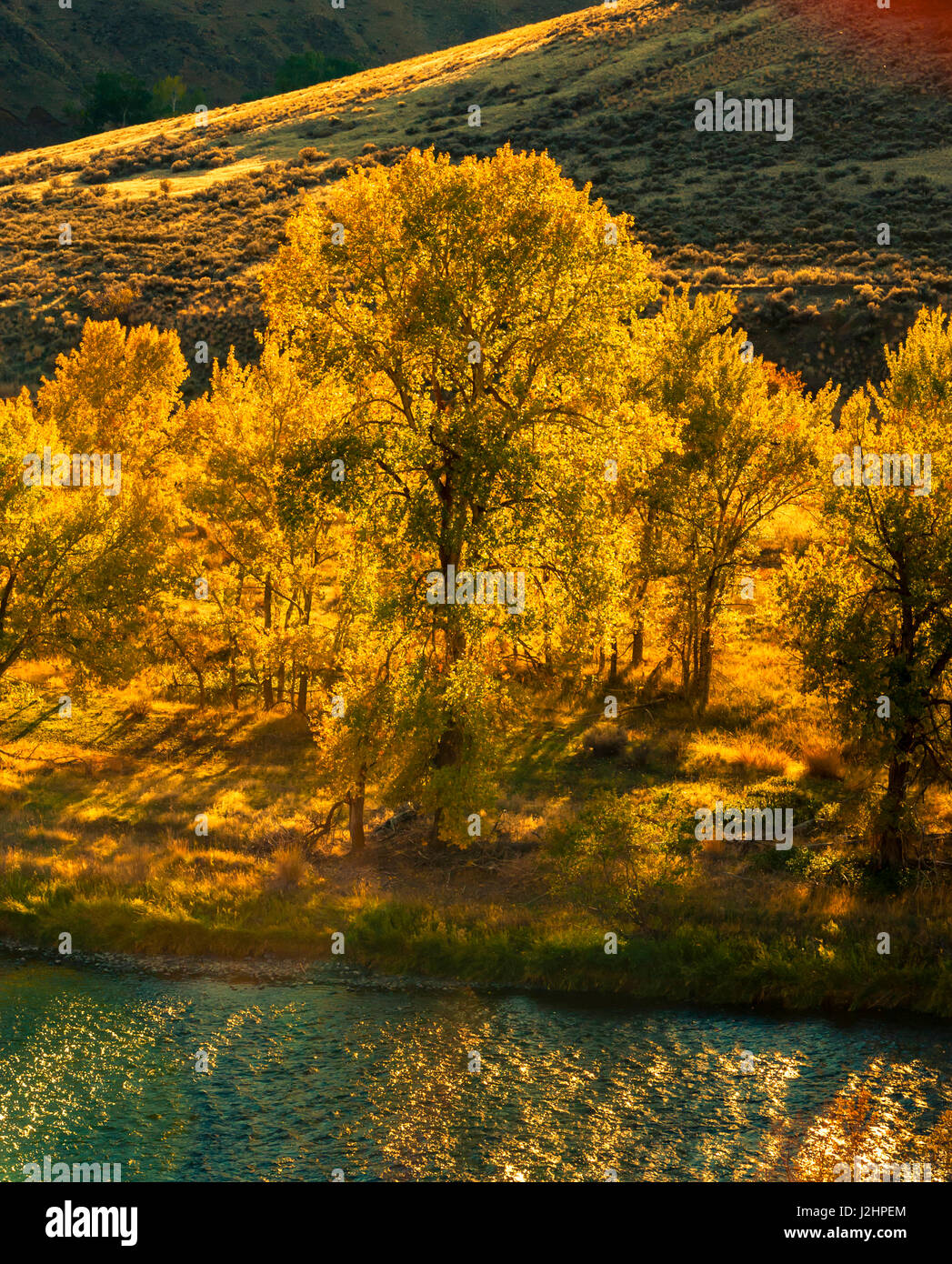 USA, Washington, Yakima. Autumn in the Yakima River Canyon where ...