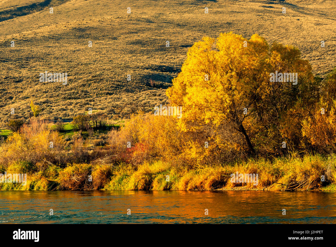 USA, Washington, Yakima. Autumn in the Yakima River Canyon where ...
