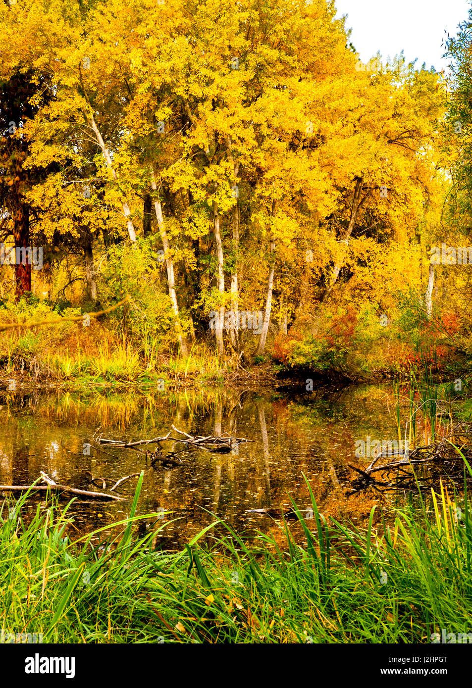 USA, Washington State, Yakima Canyon. Autumn color in the Yakima Canyon ...