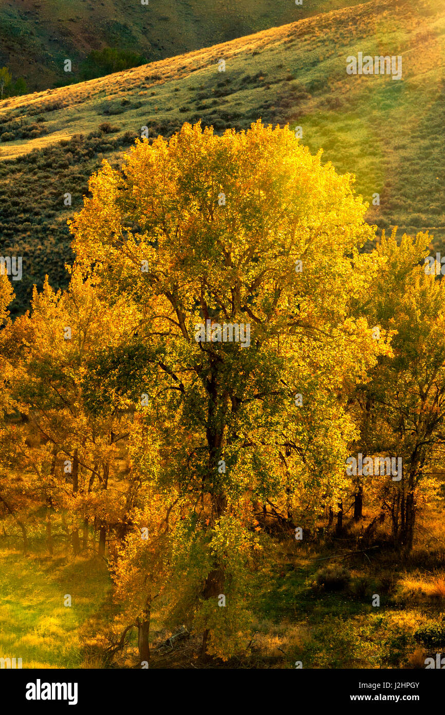 Yakima river valley hi-res stock photography and images - Alamy