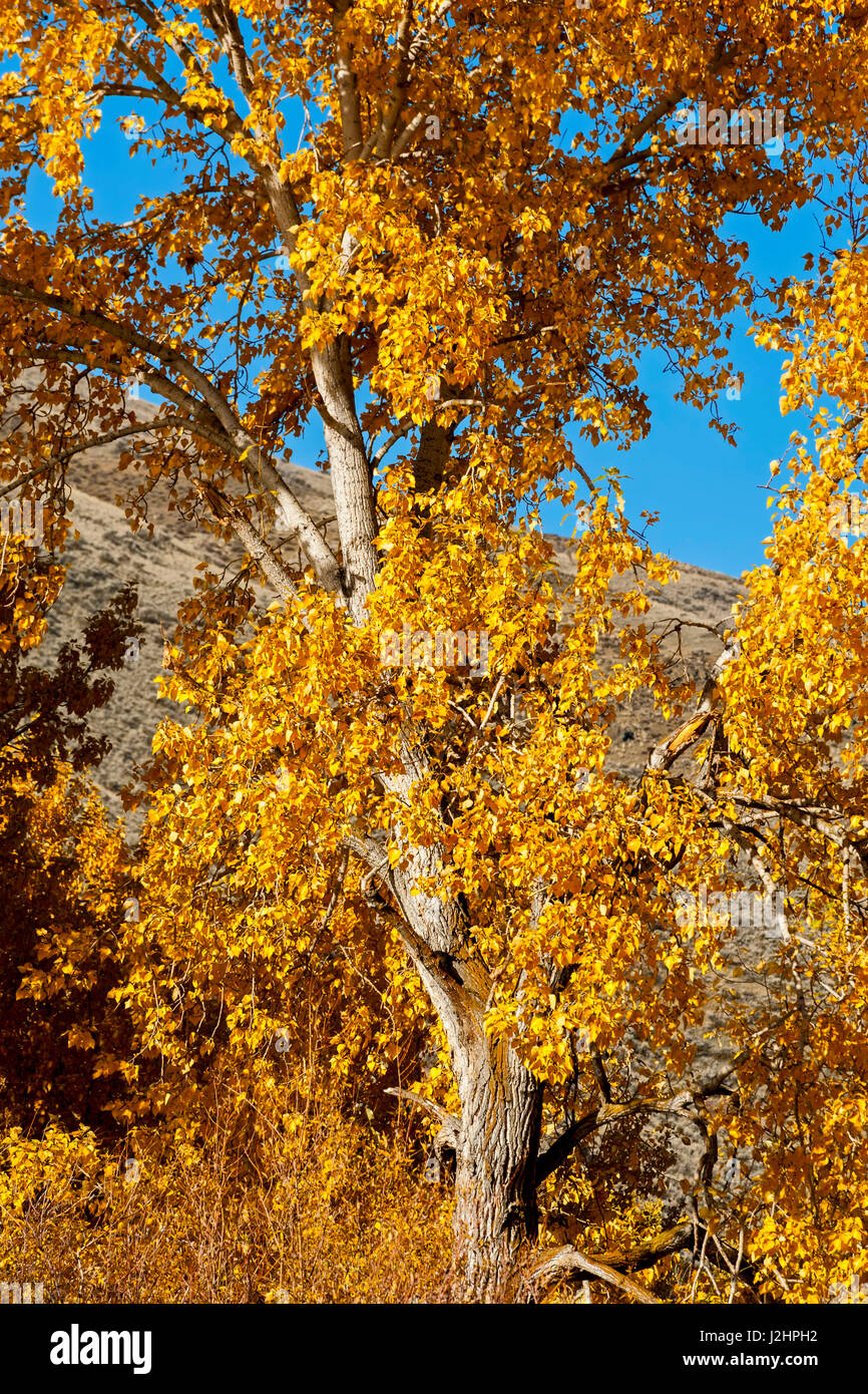 Yakima river valley hi-res stock photography and images - Alamy