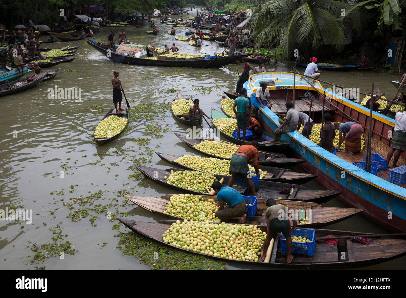 Small human powered boats hi-res stock photography and images - Alamy