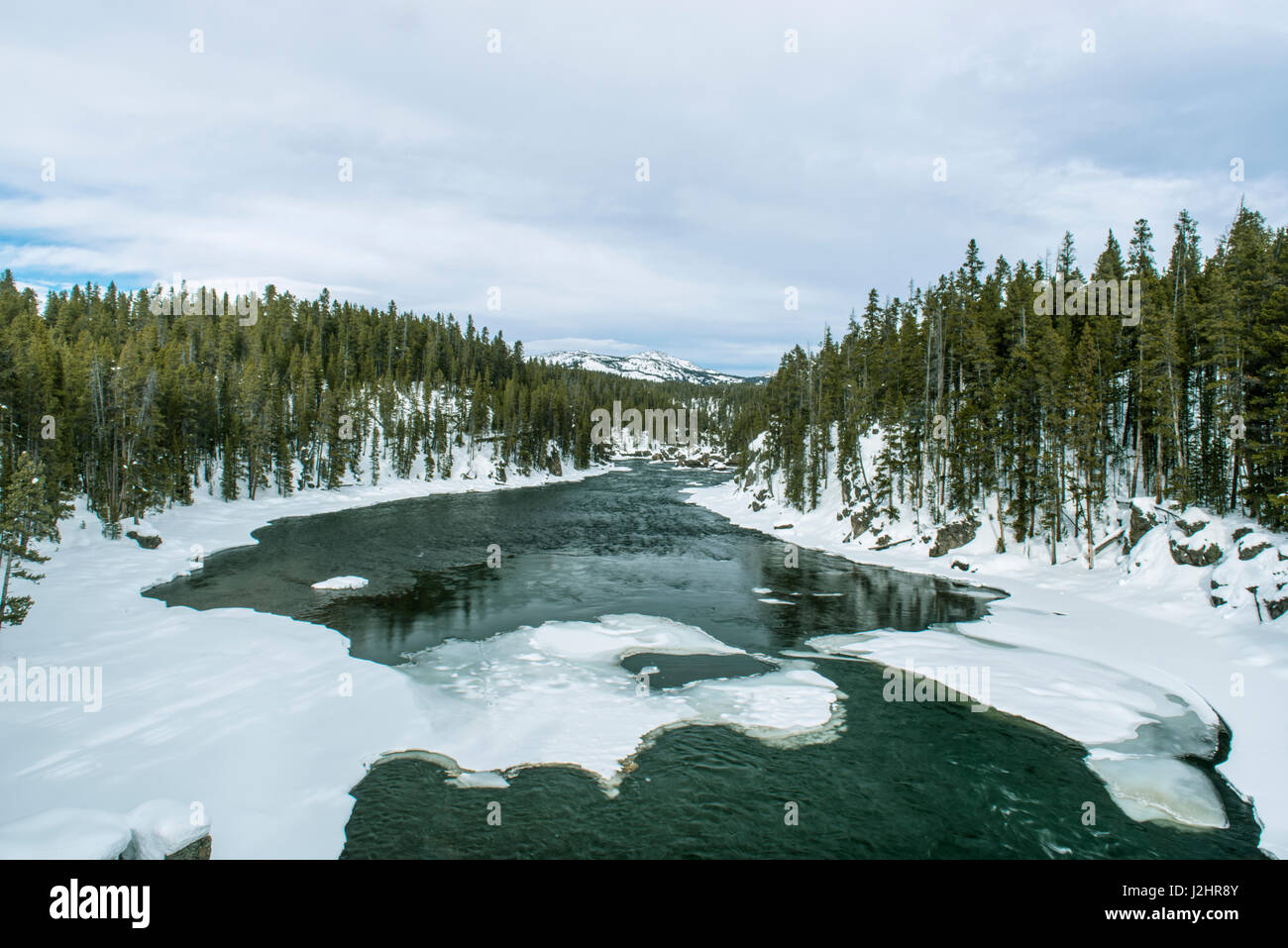 USA, Wyoming, Yellowstone National Park, Yellowstone River (Large ...