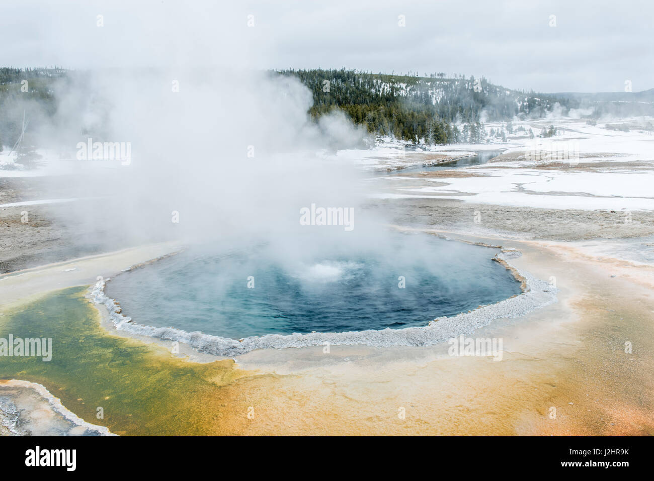 USA, Wyoming, Yellowstone National Park, Crested Pool (Large format ...