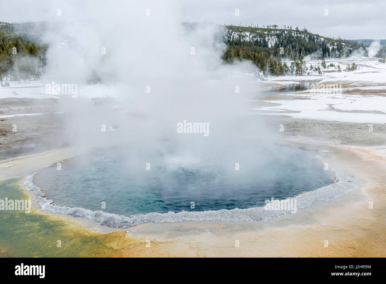 USA, Wyoming, Yellowstone National Park, Crested Pool (Large format ...