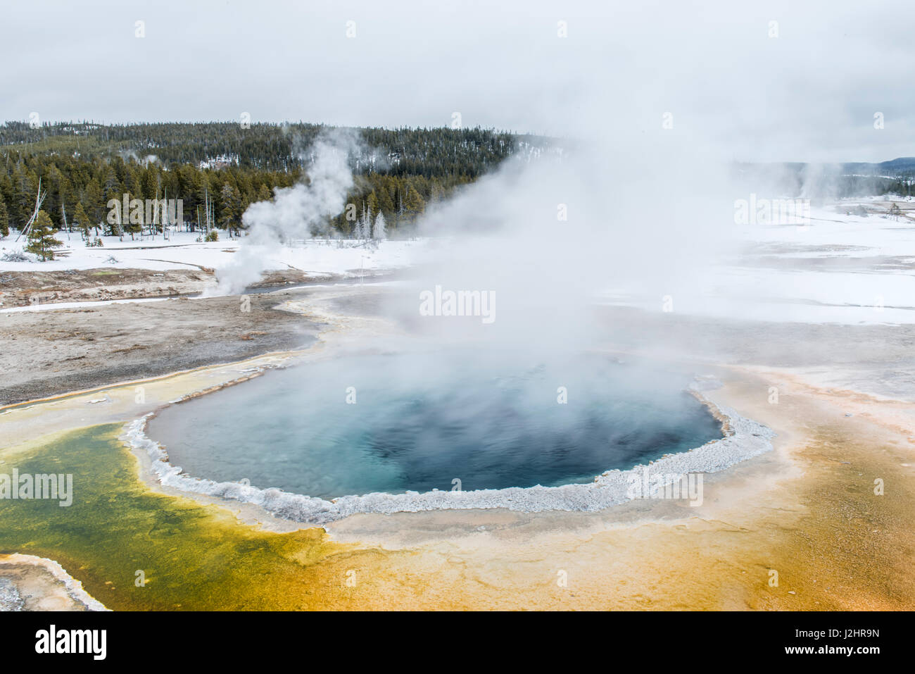 USA, Wyoming, Yellowstone National Park, Crested Pool (Large format ...