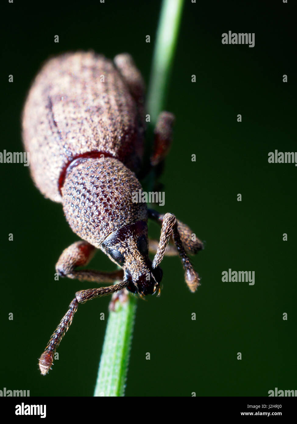 United kingdom clay hi-res stock photography and images - Alamy