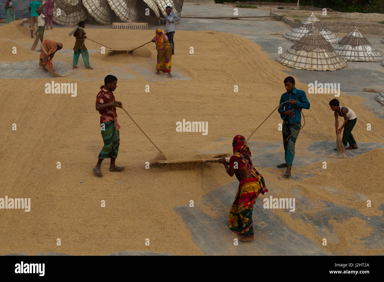 Rice on floor hi-res stock photography and images - Alamy