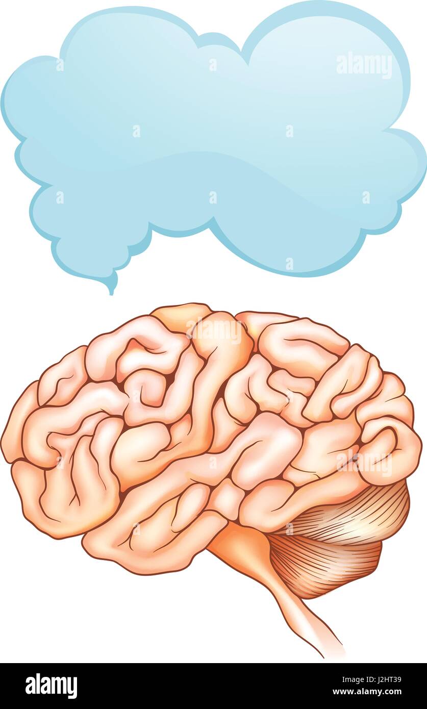 Speech bubble template with human brain illustration Stock Vector Image ...