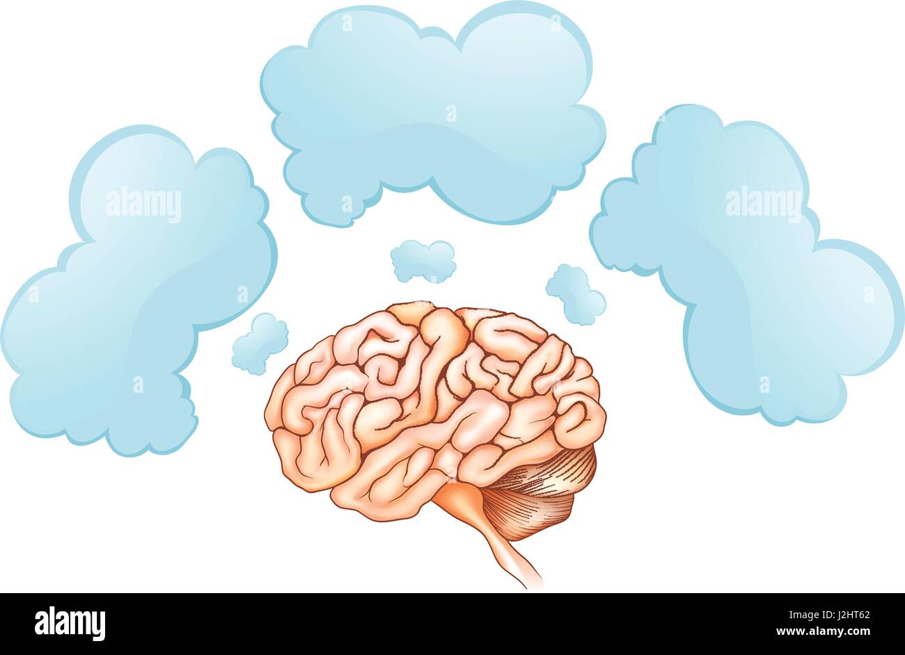 Human brain and three speech bubbles illustration Stock Vector Image ...