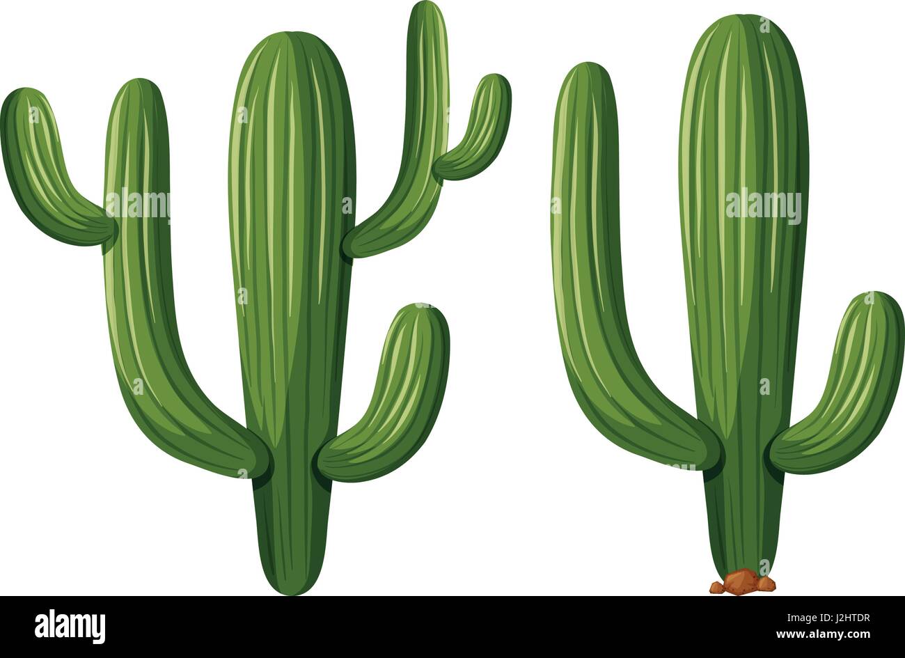 Cactus shapes Stock Vector Images - Alamy