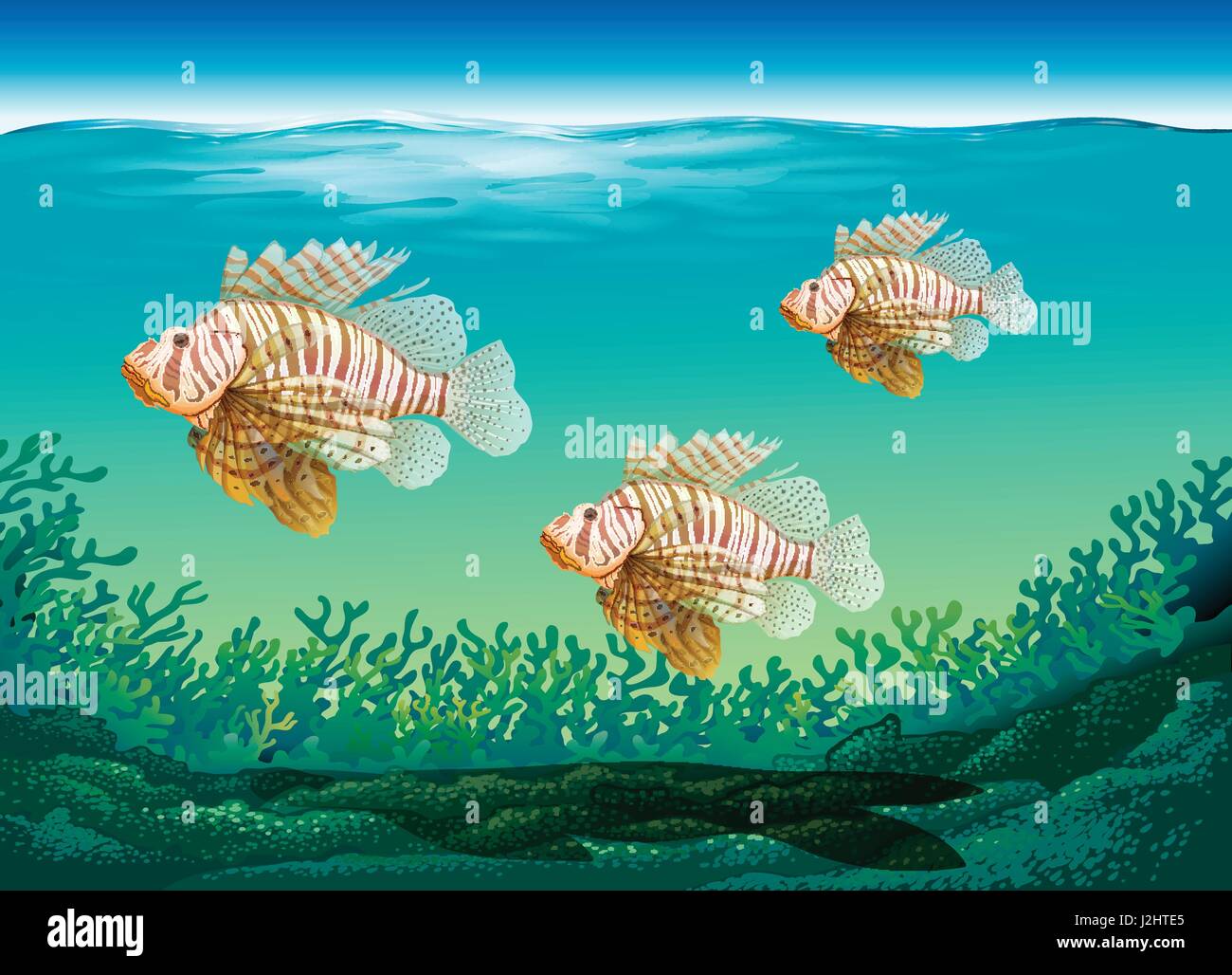 Underwater scene with three fish swimming illustration Stock Vector ...