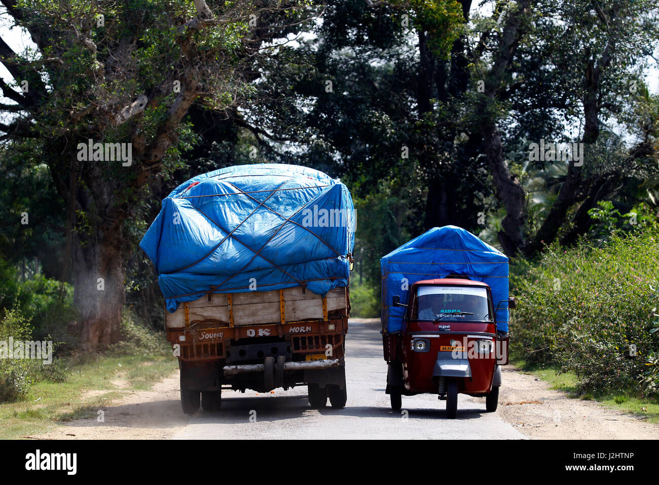 Typical narrow road in the interior, Karnataka, India Stock Photo - Alamy