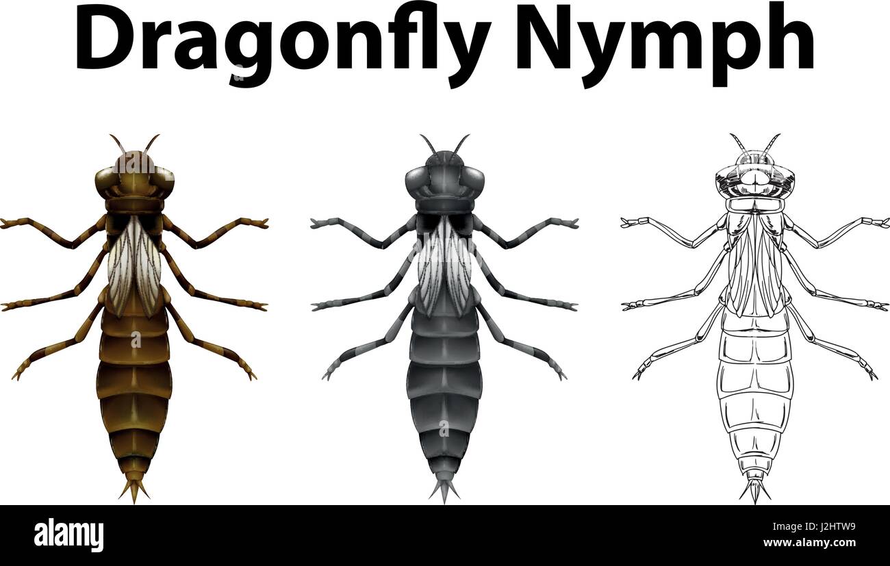 Nymph Stock Vector Images - Alamy