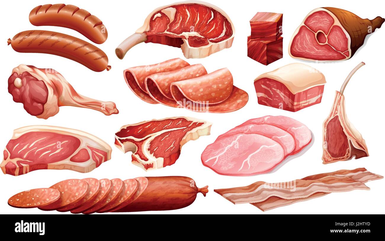 Types of meat and meat products vector illustration meat food hi-res ...