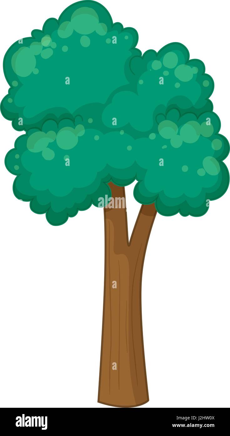 Tall tree on white background illustration Stock Vector Image & Art - Alamy