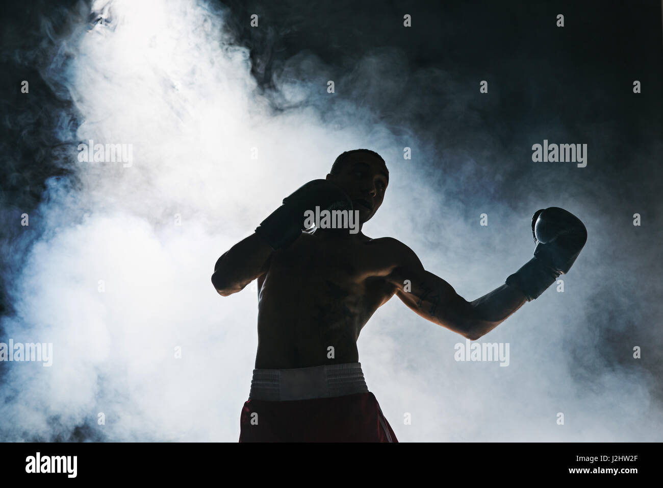 Afro american male boxer. Young man boxing workout in a fitness club ...
