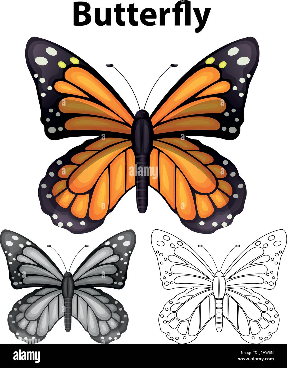 Butterfly in three different drawing styles illustration Stock Vector ...