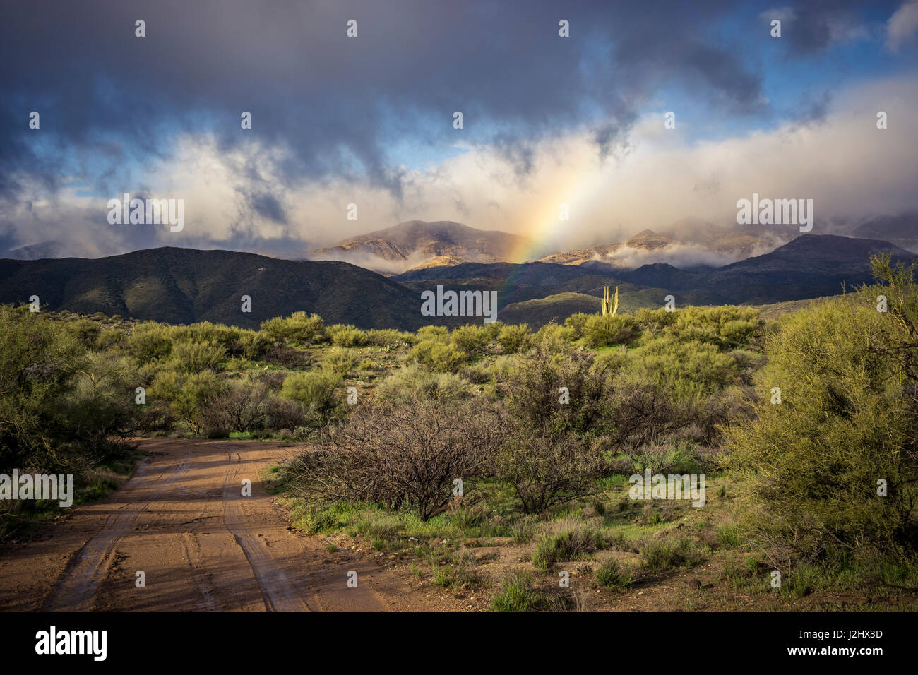 Landscape near Bumble Bee Ranch, Arizona, north of Phoenix Stock Photo ...