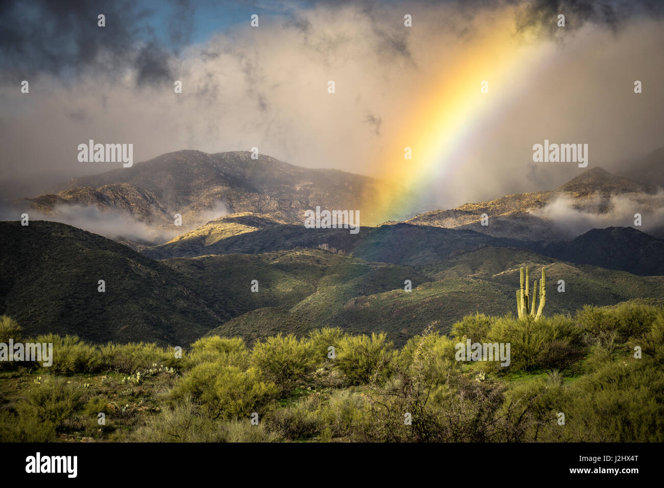 Landscape near Bumble Bee Ranch, Arizona, north of Phoenix Stock Photo ...