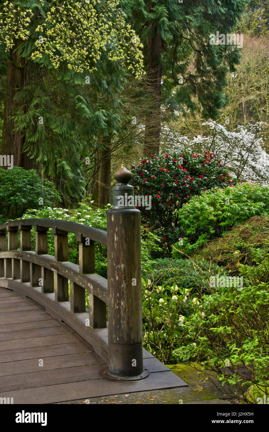 Moon Bridge, Strolling Garden, Portland Japanese Garden, Portland ...