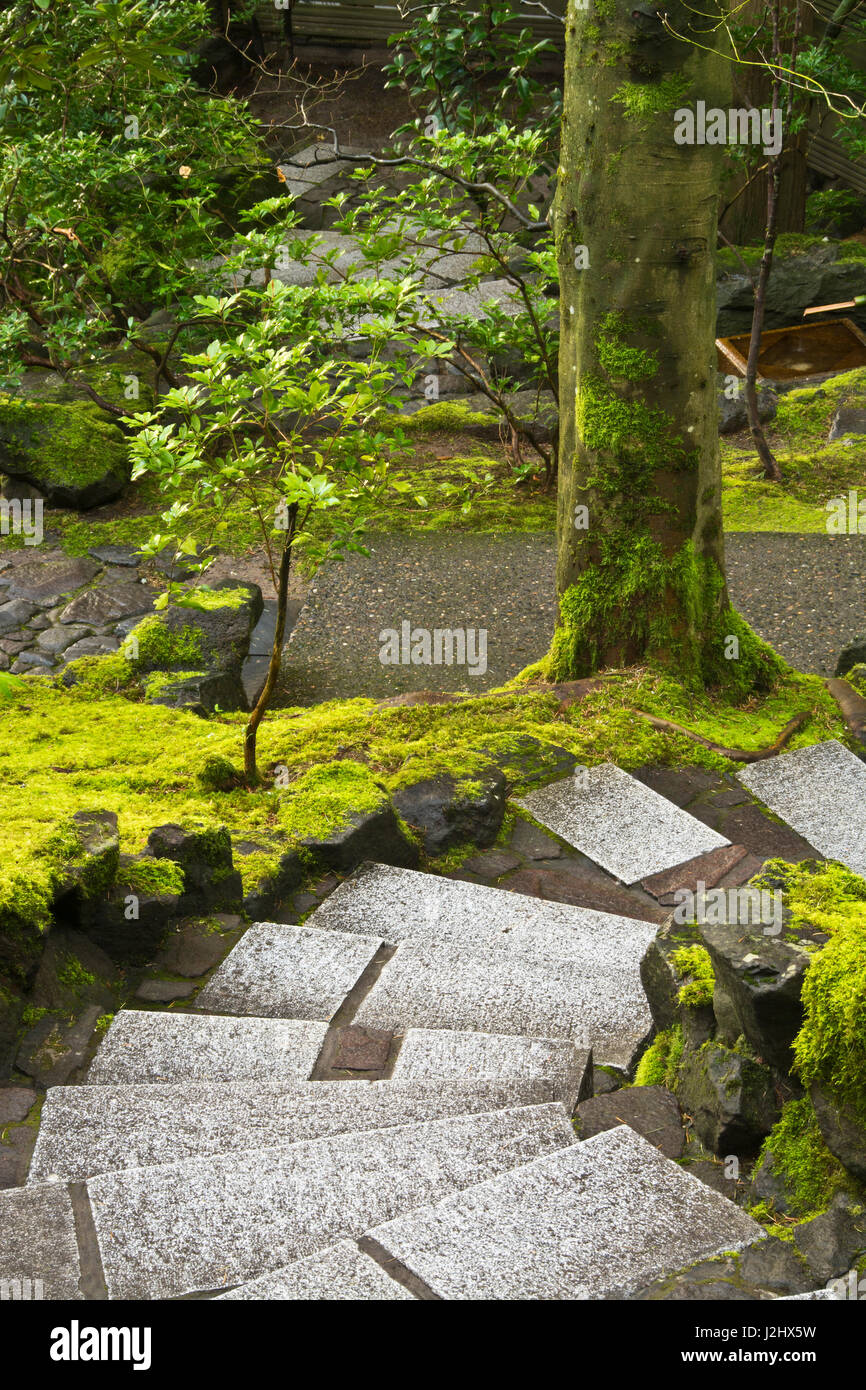Downward steps, Natural Garden, Portland Japanese Garden, Portland ...