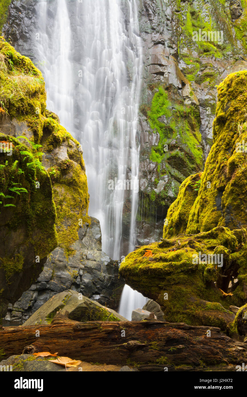 Susan Creek Falls, Umpqua National Forest, Oregon, USA Stock Photo - Alamy