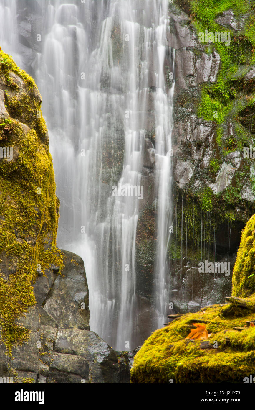 Susan Creek Falls, Umpqua National Forest, Oregon, USA Stock Photo - Alamy