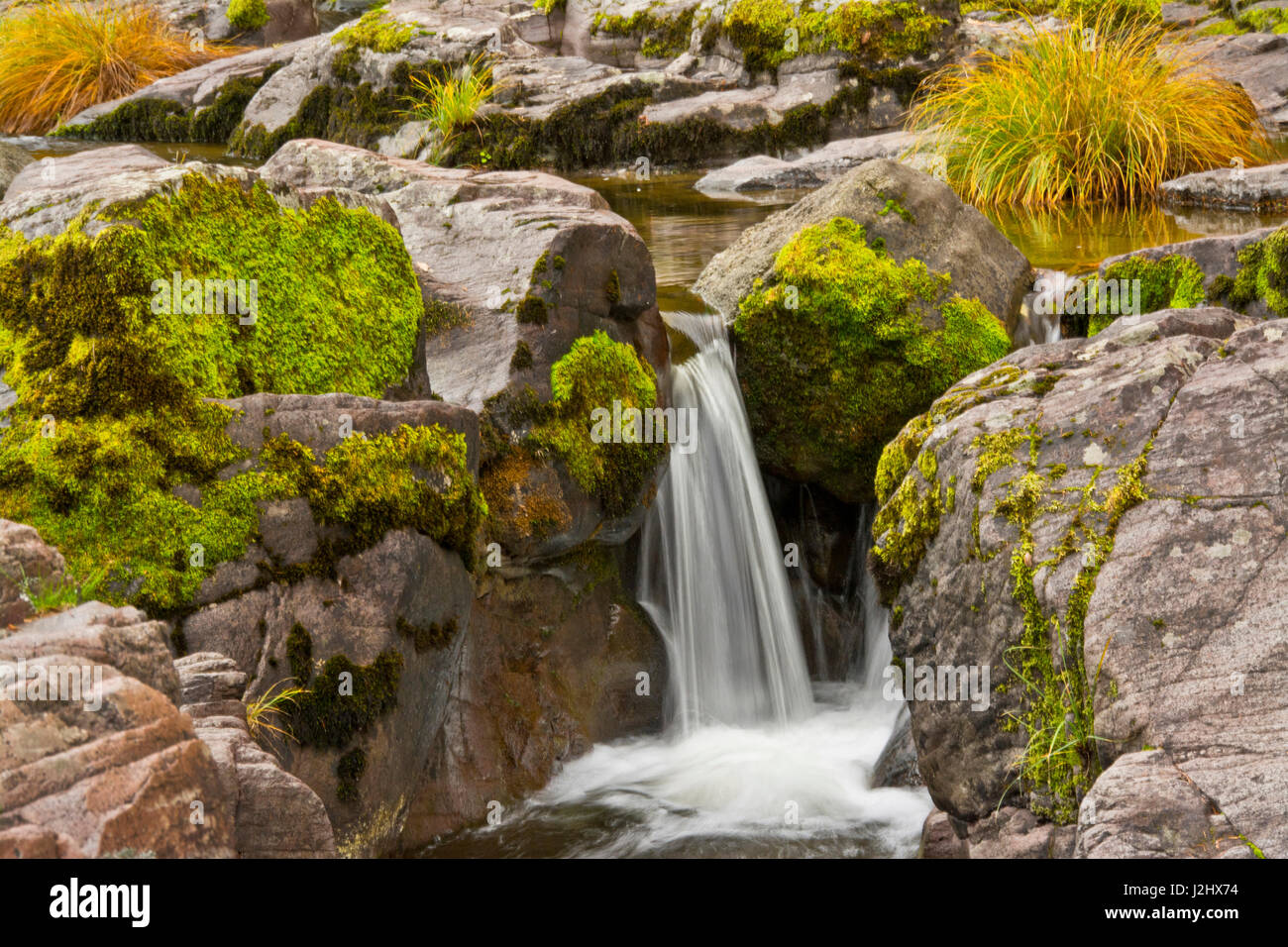 Grey steamboat hi-res stock photography and images - Alamy