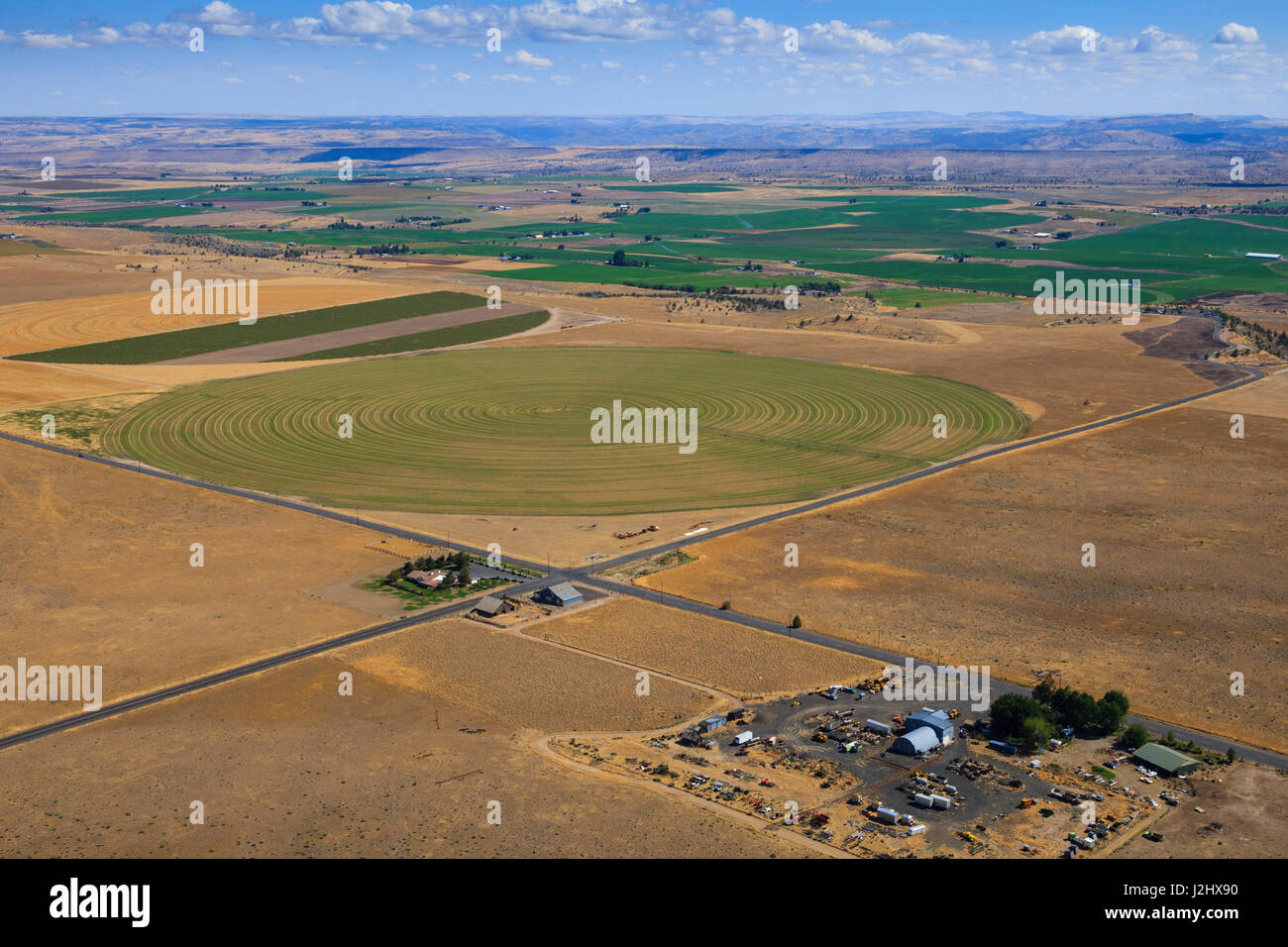USA, Oregon, Madras, field showing circular irrigation pattern from a ...