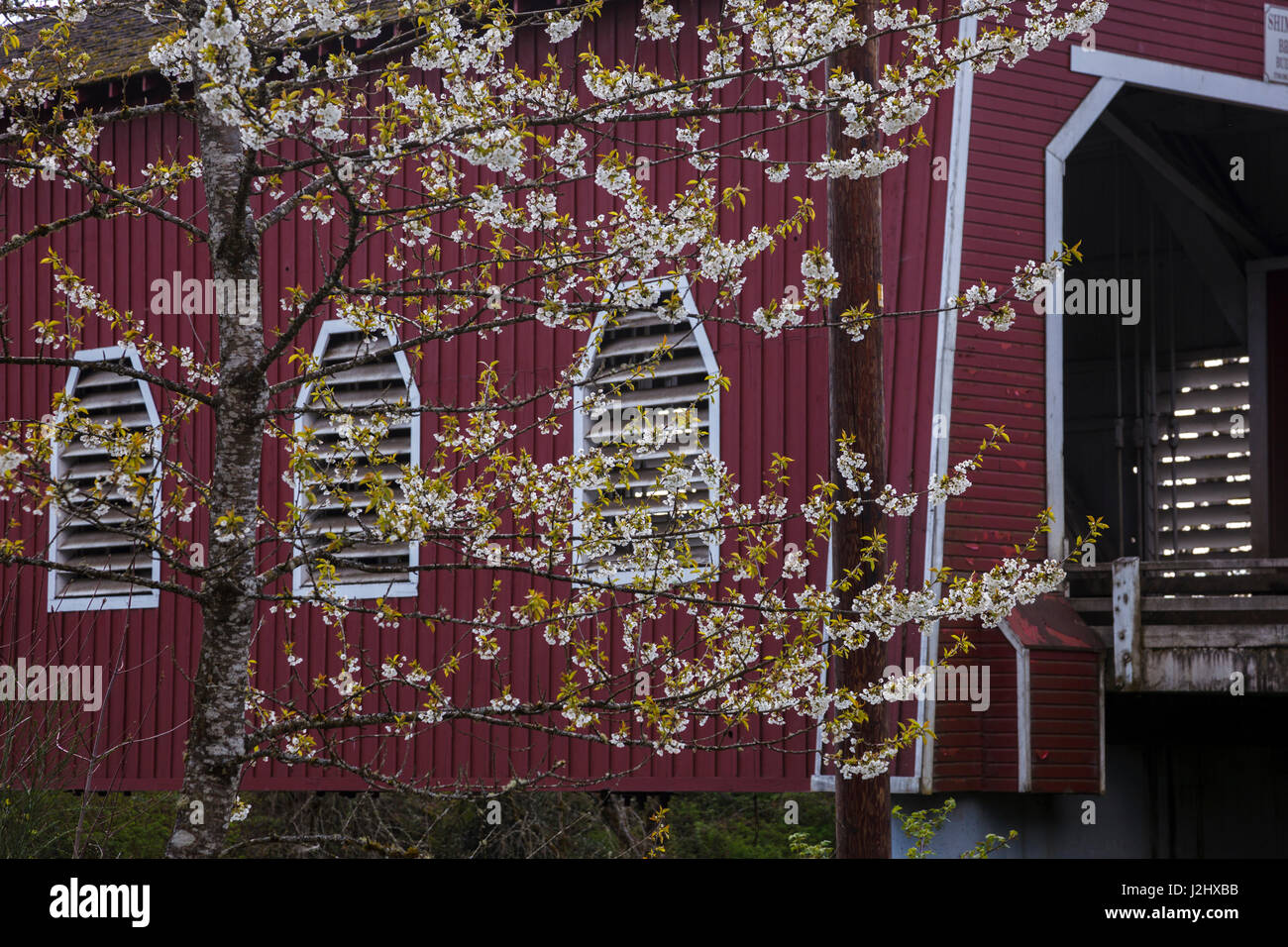 USA, Oregon, Shimanek Bridge Stock Photo - Alamy