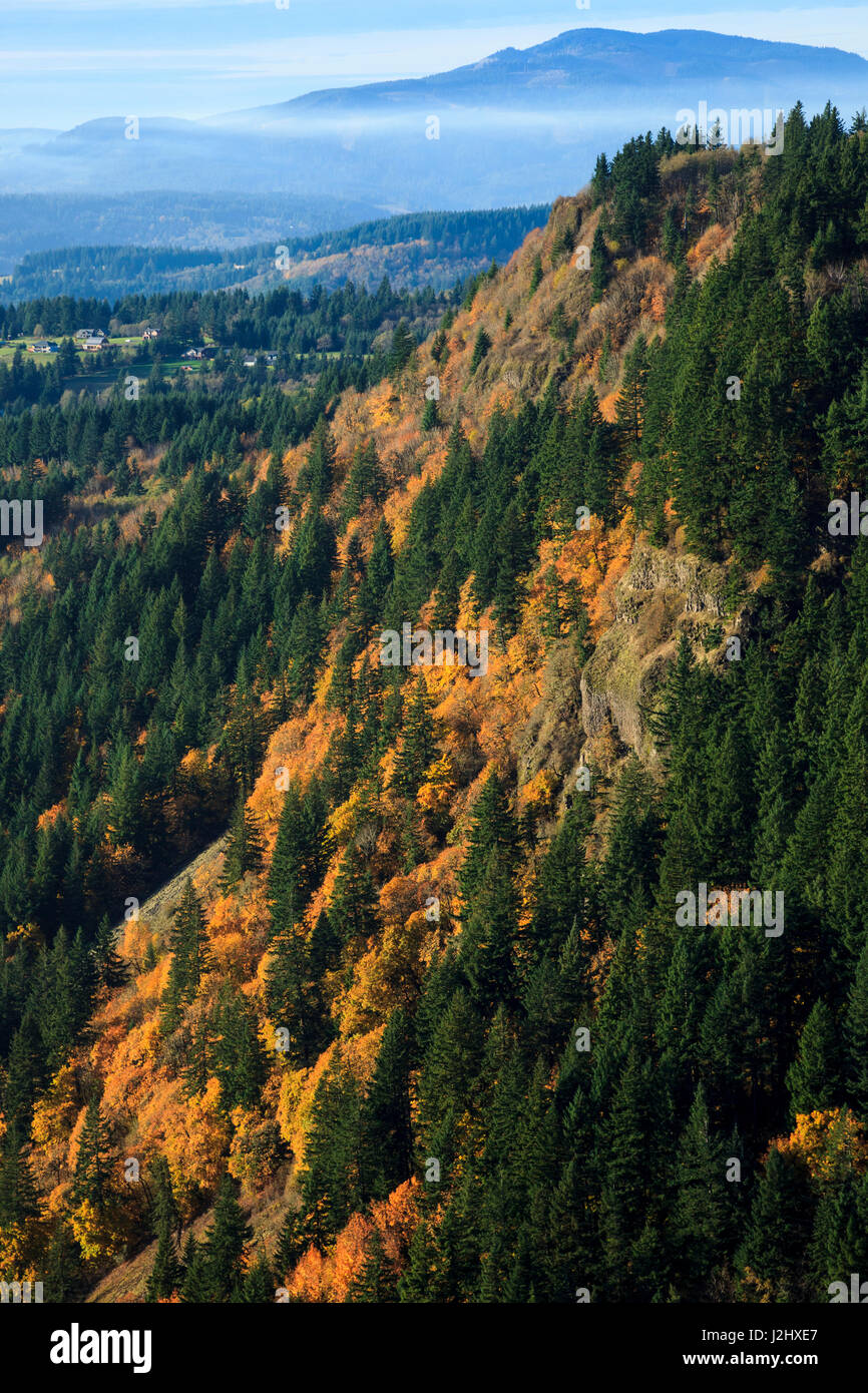 USA, Oregon, cliff wall along the Columbia Gorge Stock Photo - Alamy