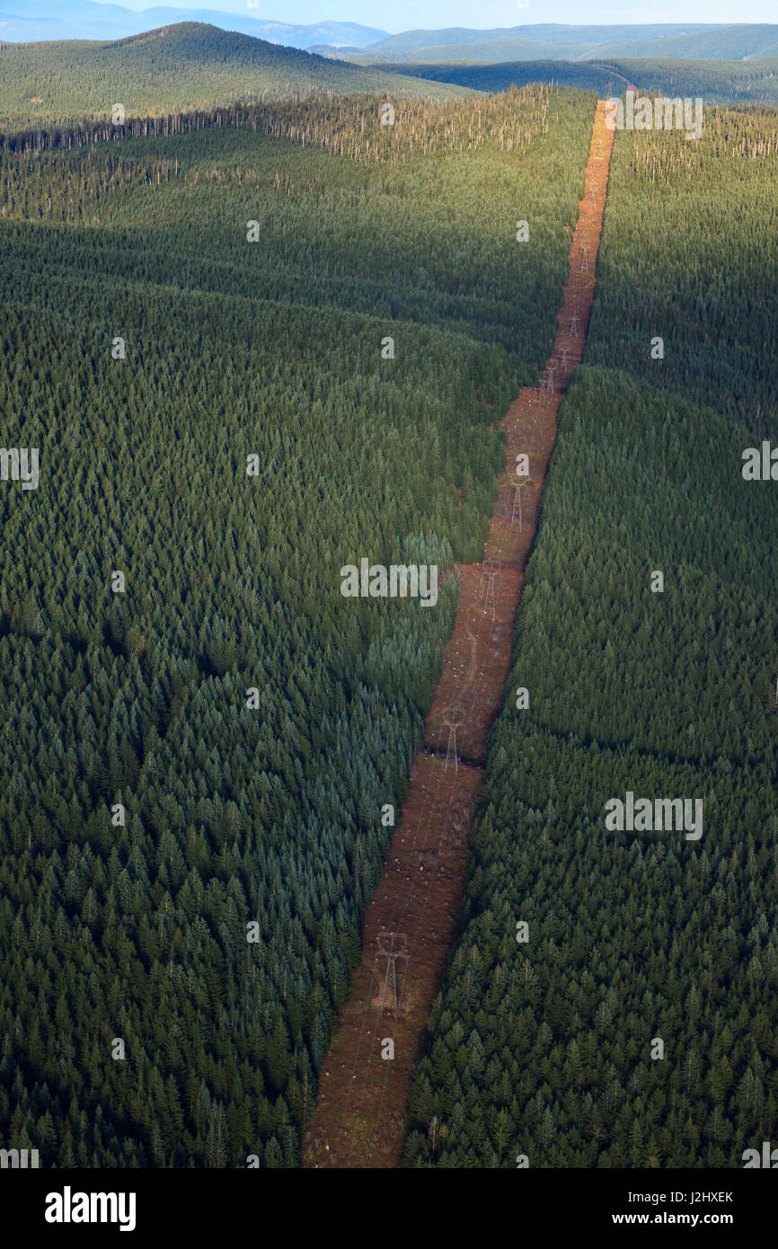 USA, Oregon, aerial landscape of high-tension line cut through the ...
